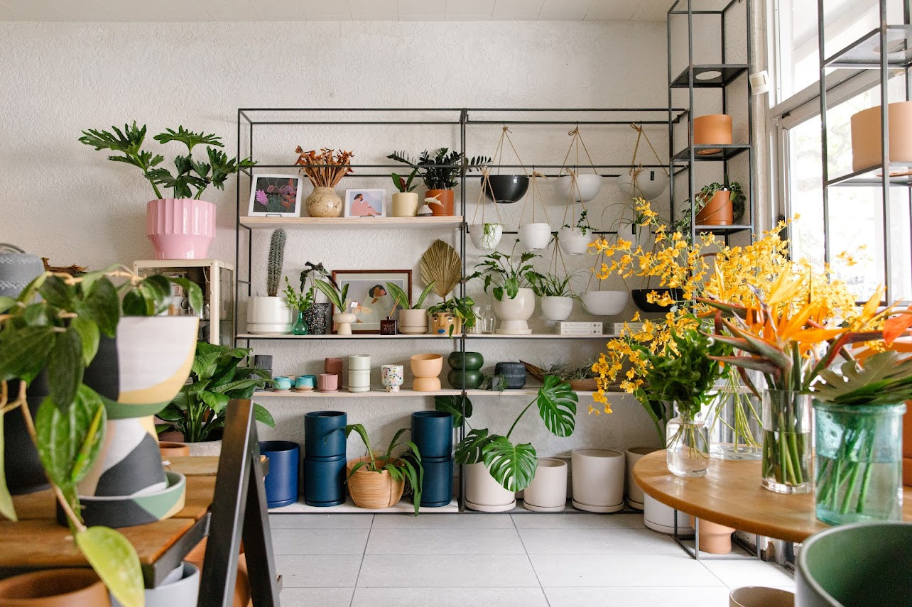 Workshops – Paiko Botanicals