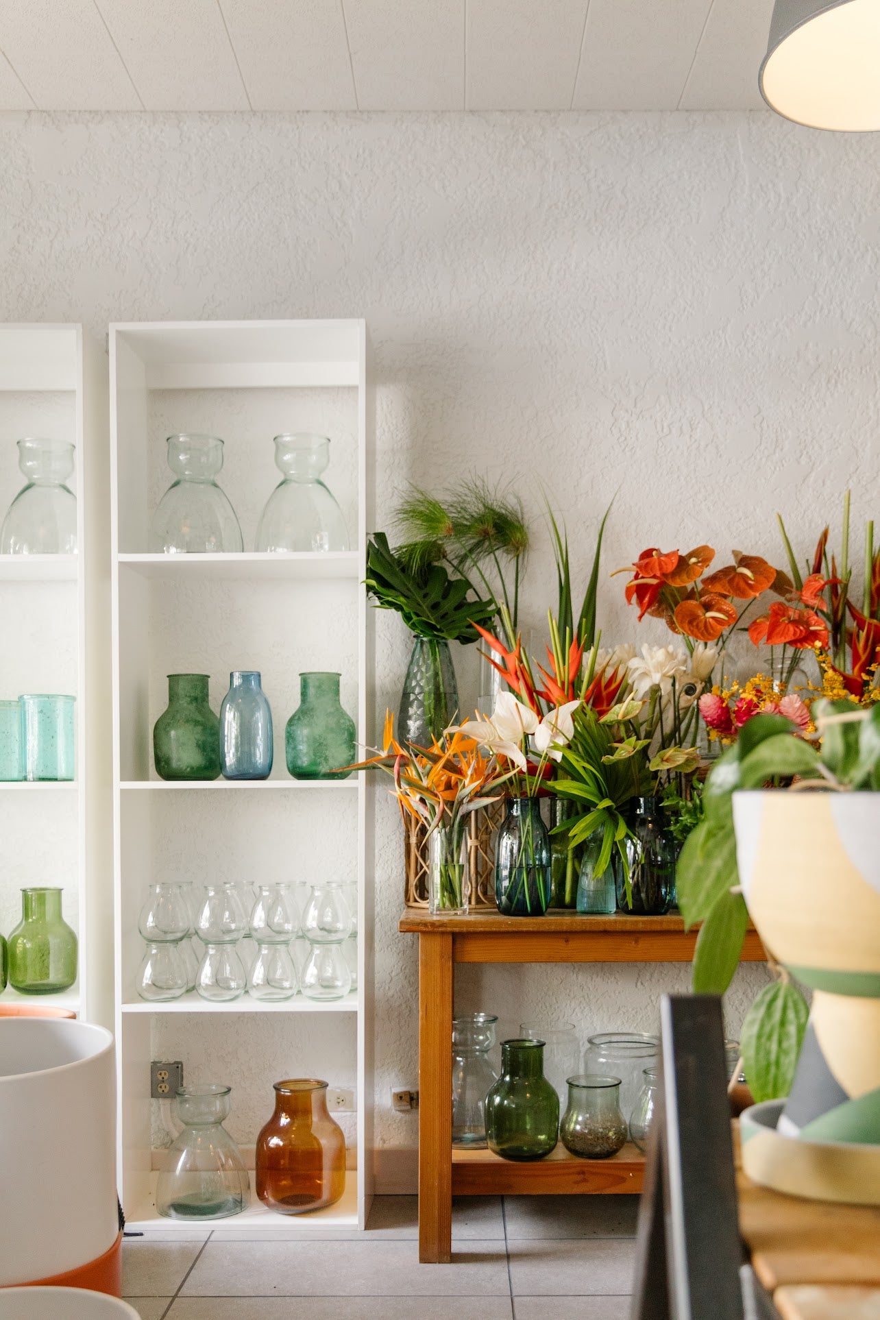 Paiko – Paiko Botanicals