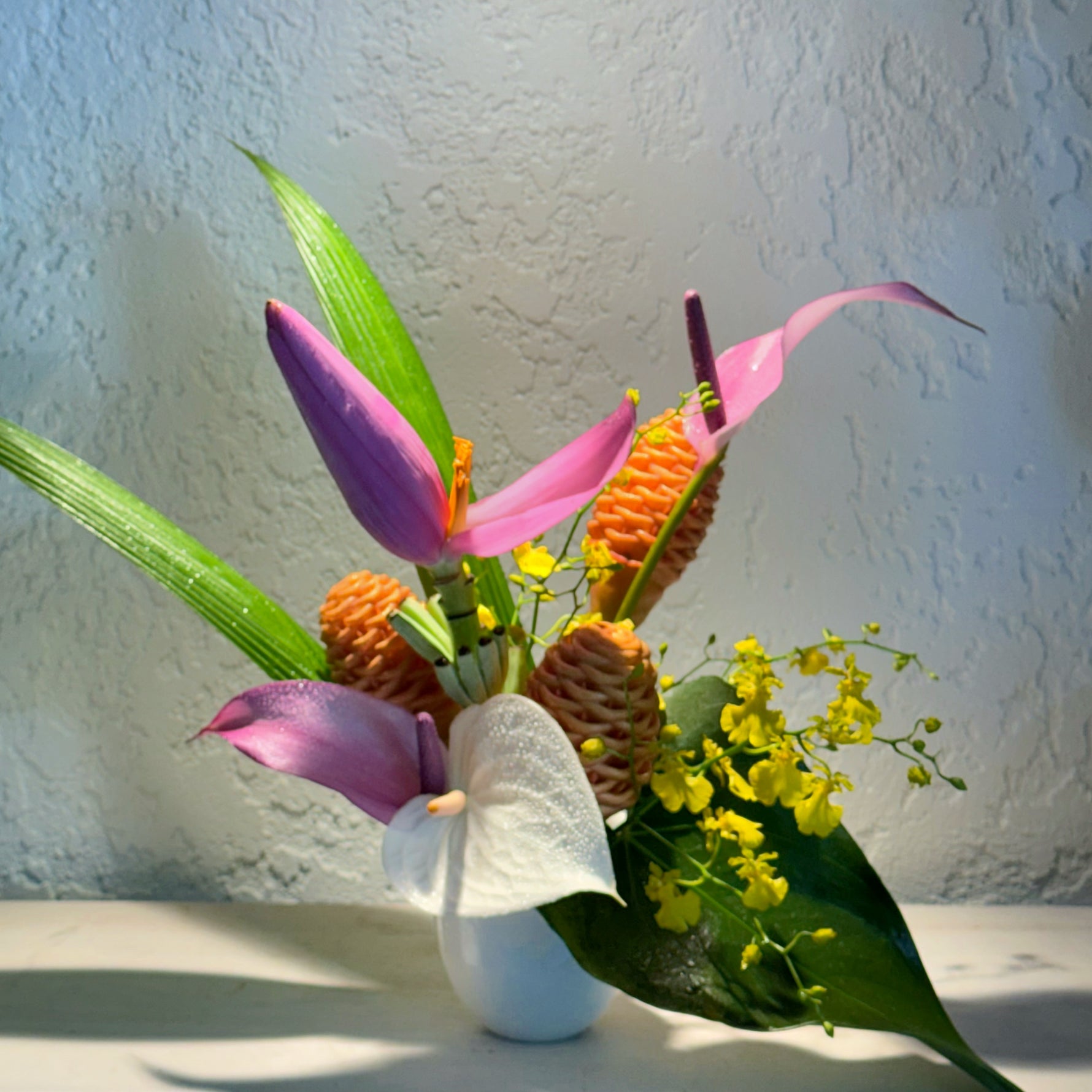 Paiko – Paiko Botanicals